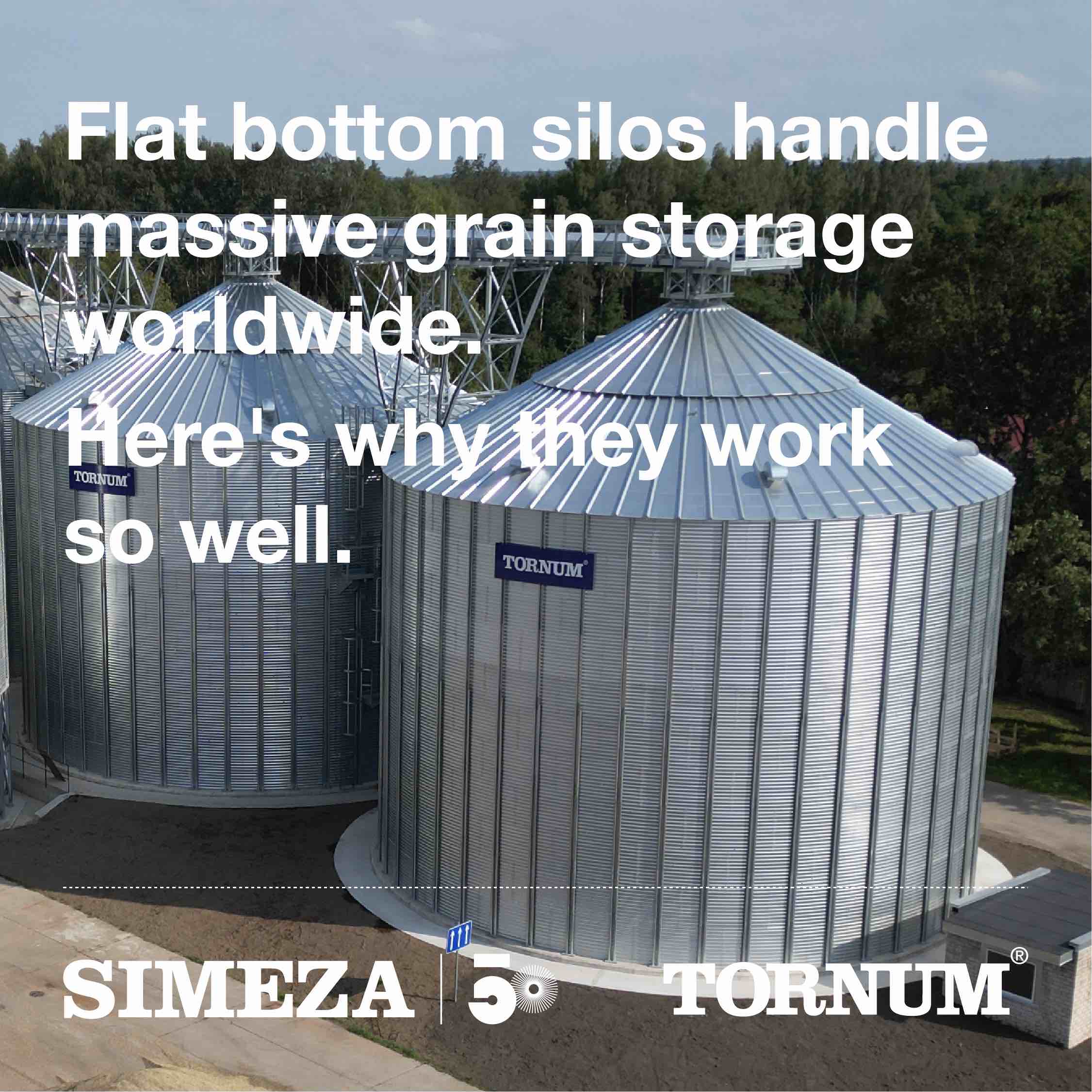 Flat bottom silos handle massive grain storage worldwide. Here’s why ...